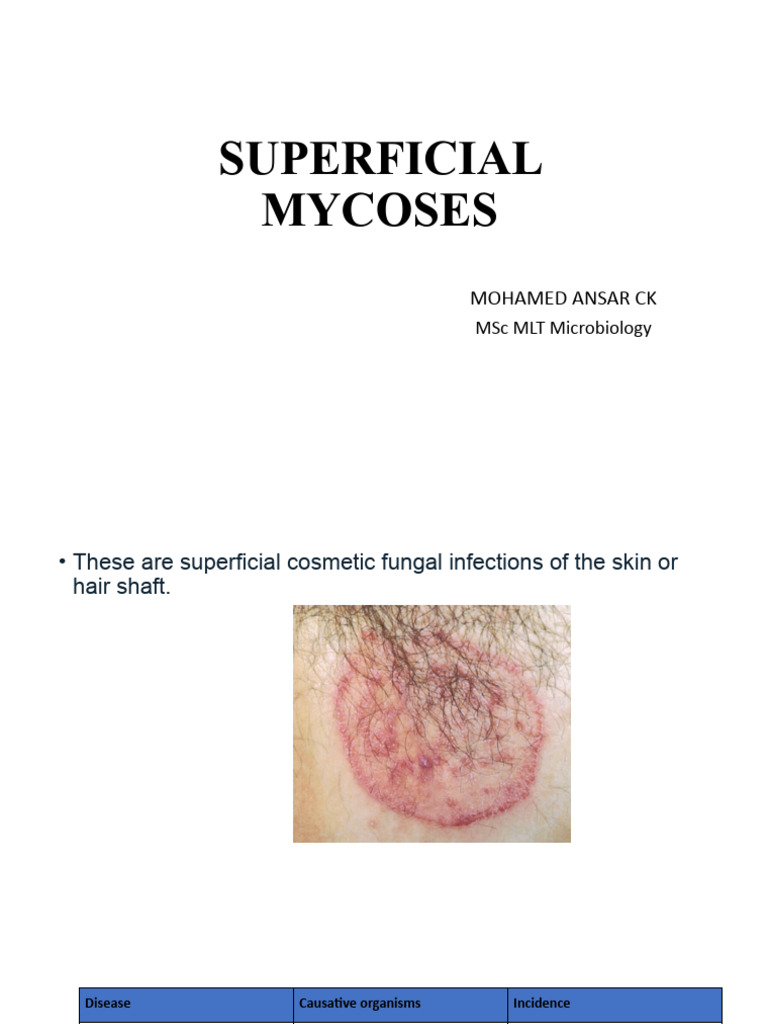 SUPERFICIAL MYCOSES | PDF | Microbiology | Animal Diseases