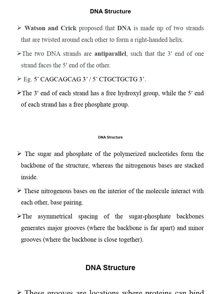 Understanding DNA and RNA Structures | PDF | Rna | Dna