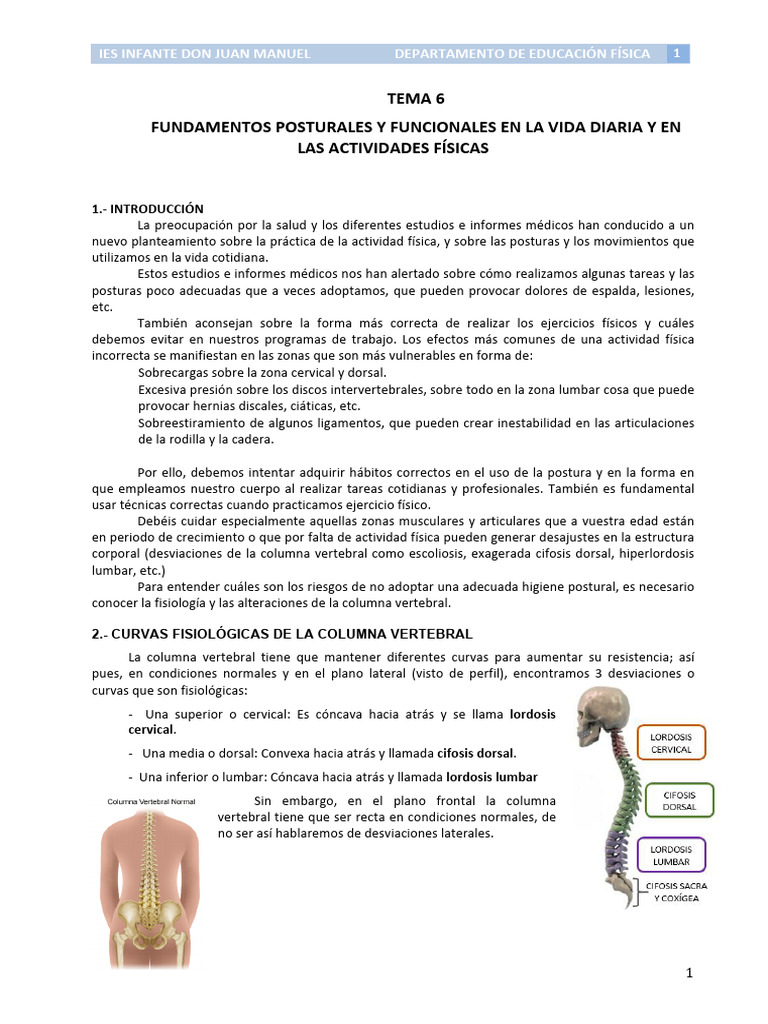 Tema 6 | PDF | La columna vertebral | Sistema musculoesquelético