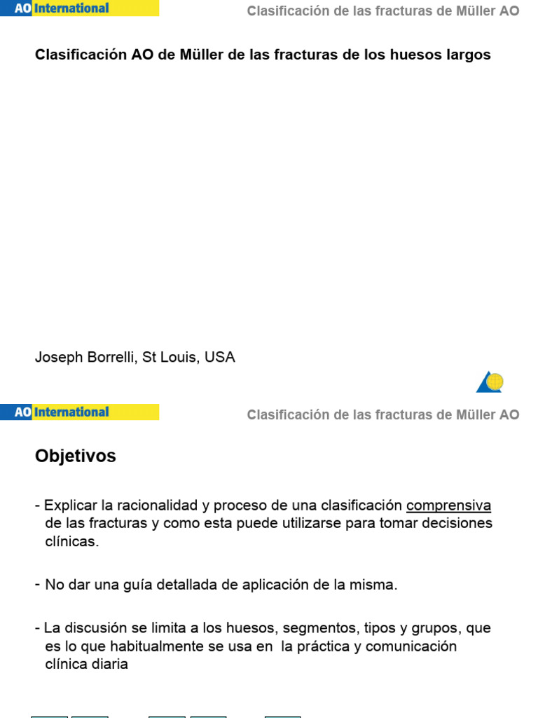 Clasificacion - Ao | PDF | Cognición
