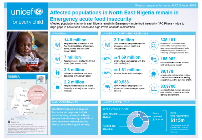 02 Infographic Template UNICEF | PDF | Malnutrition | Public Health