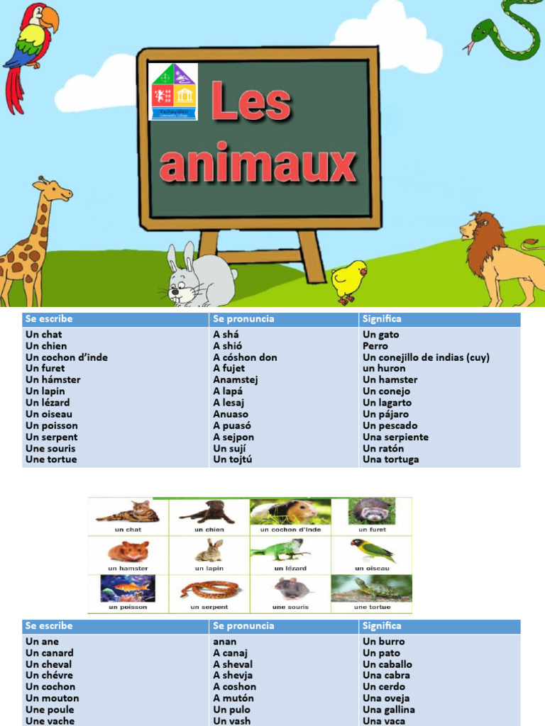 Les Animaux | PDF
