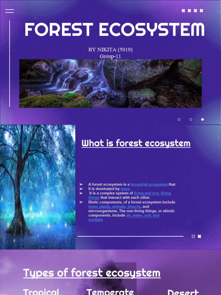 Forest Ecosystem Pdf Pdf Wildfire Forests