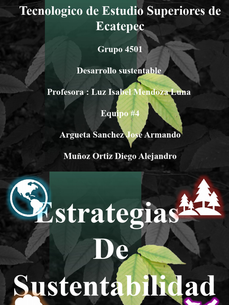 Estrategias de Sustentabilidad | PDF | Sustentabilidad | Desarrollo sostenible