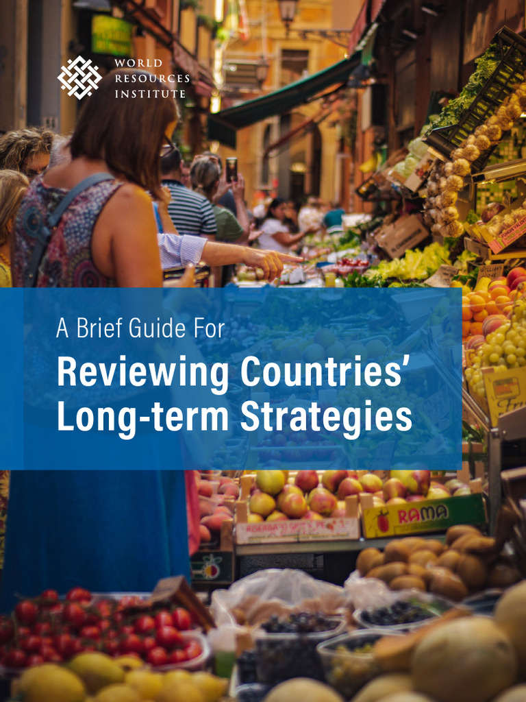 A Brief Guide For Reviewing Countries' Long-Term Strategies (WRI 2021 ...