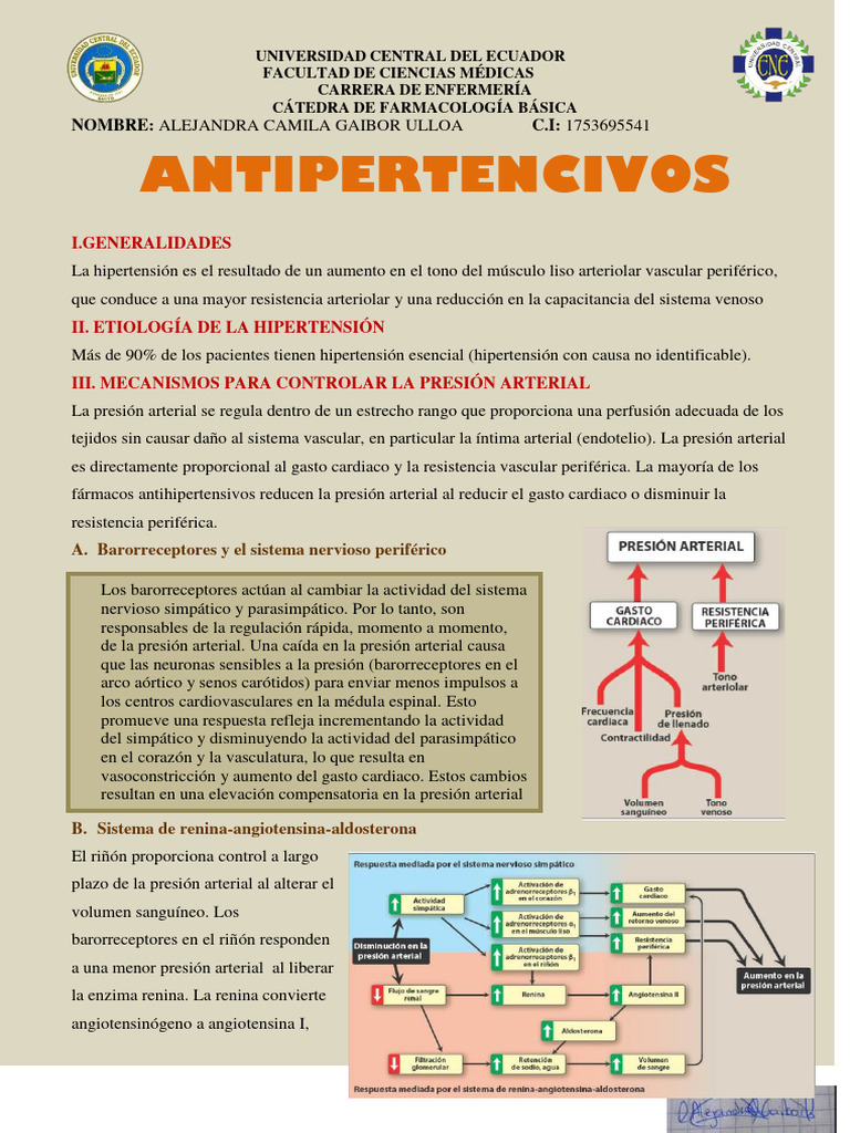 Antipertensivos | PDF | Angiotensina | Hipertensión