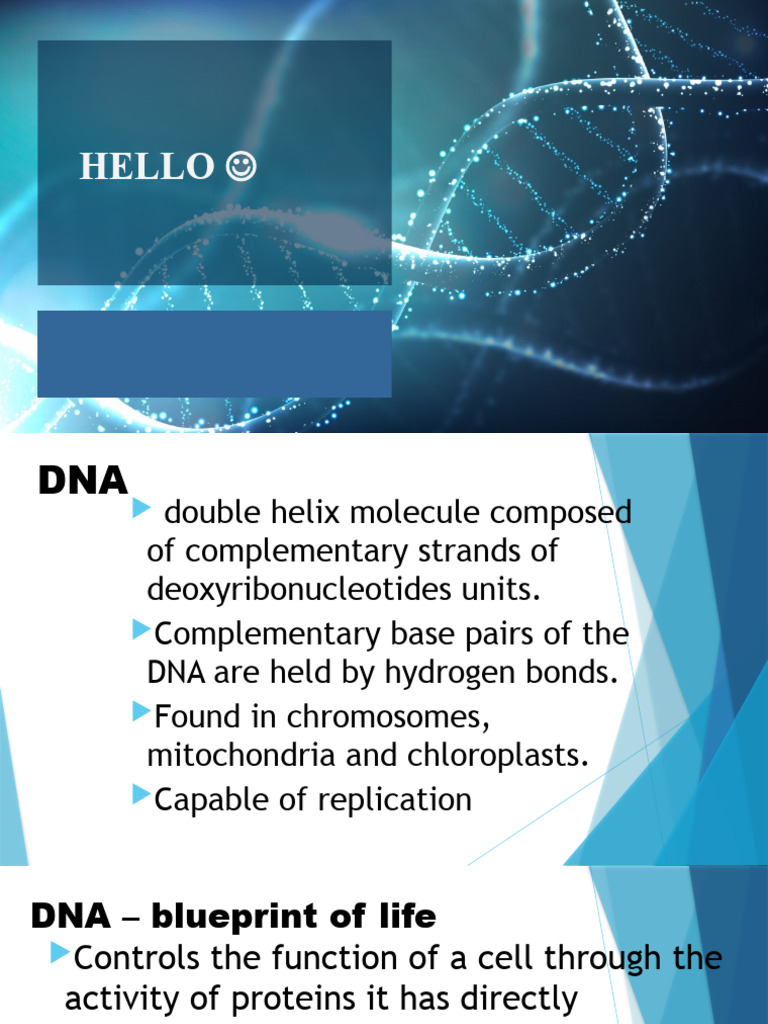 Protein Synthesis | PDF | Dna | Nucleotides