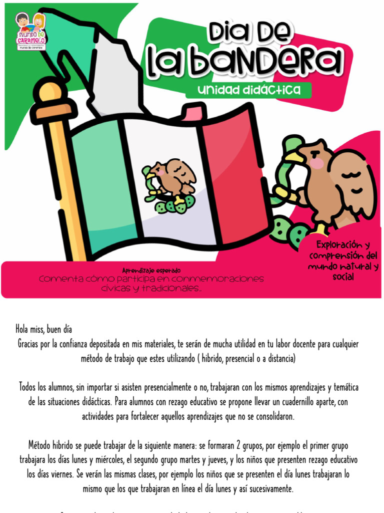 PLAN LA BANDERA | PDF | Aprendizaje | Educación de la primera infancia