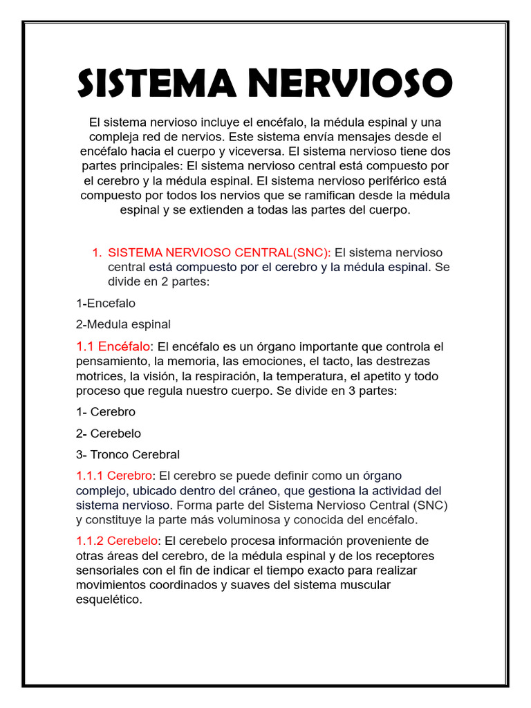 Sistema Nervioso | PDF | Cerebro | Sistema nervioso