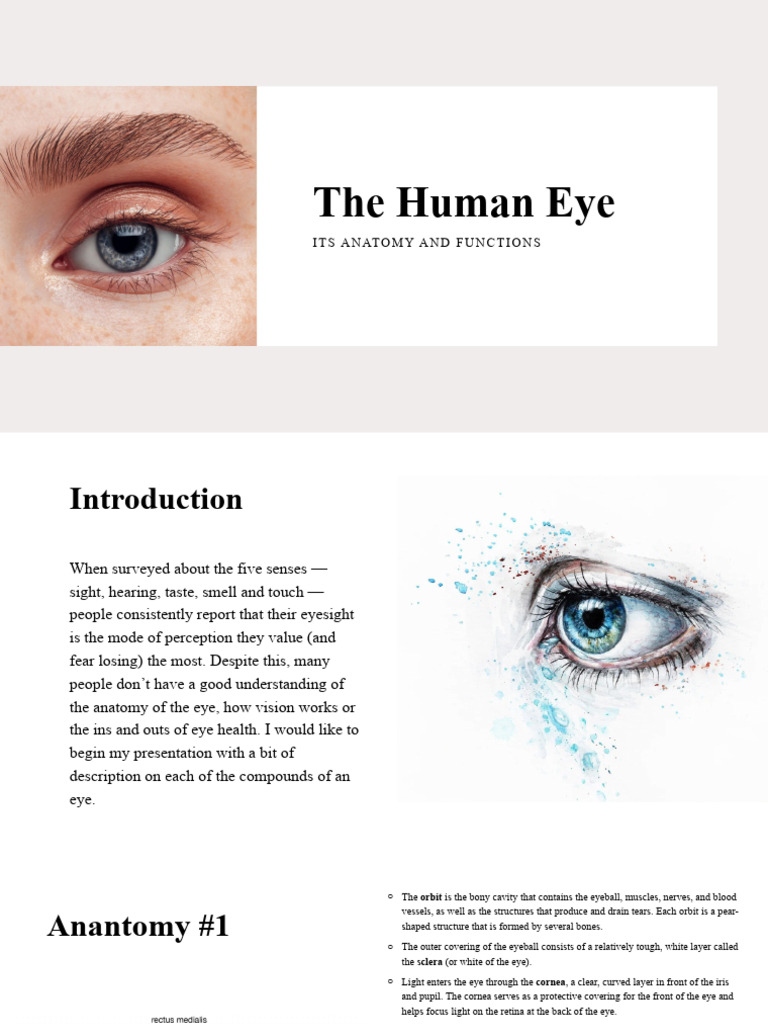The Human Eye | PDF | Human Eye | Eye