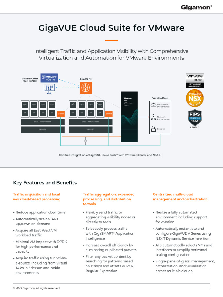 Ds Gigavue Cloud Suite For Vmware | PDF | Cloud Computing | Security