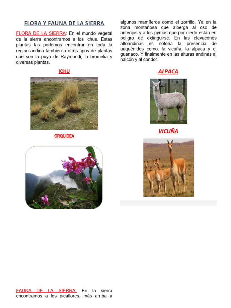 Flora y Fauna de la Sierra Peruana | PDF