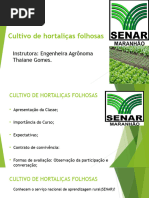 Catalogo Sementes Brasmax | PDF | Agricultura