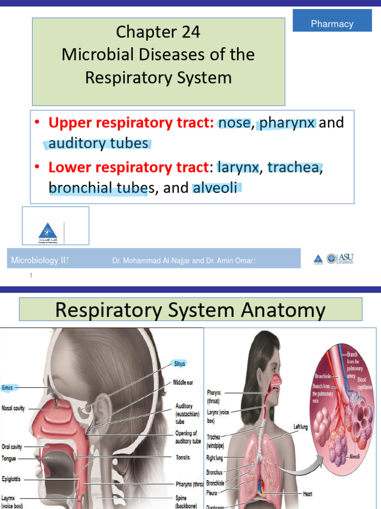 2. Microbial Diseases of Respiratory System AO Rev3 | PDF | Respiratory ...
