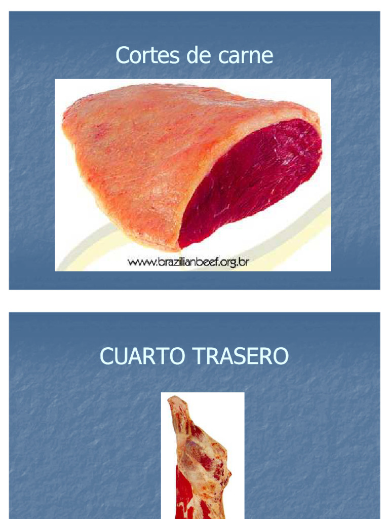 Documento Codificado Ininteligible | PDF | Métodos y materiales de enseñanza | Informática