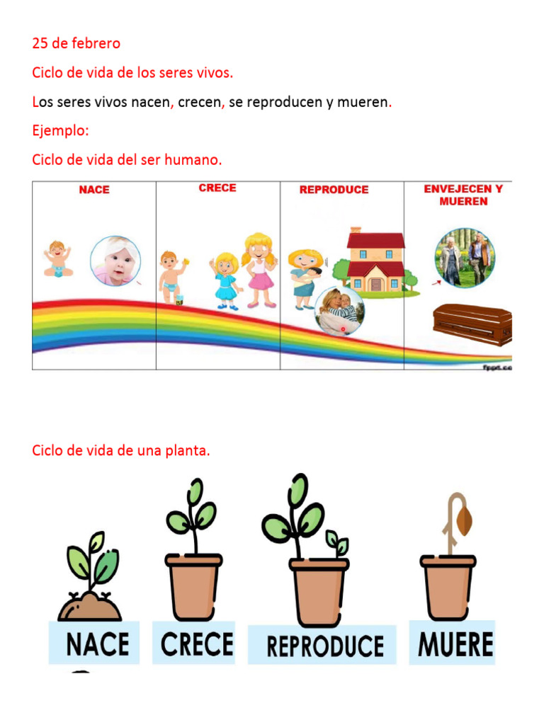 Ciclo de Vida de Los Seres Vivos | PDF | Ciencia y matemáticas