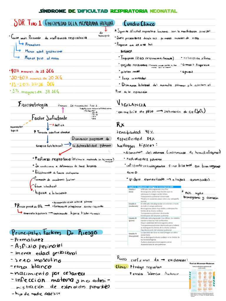 Síndrome de Dificultad Respiratoria Neonatal | PDF | Enfermedades y trastornos humanos ...