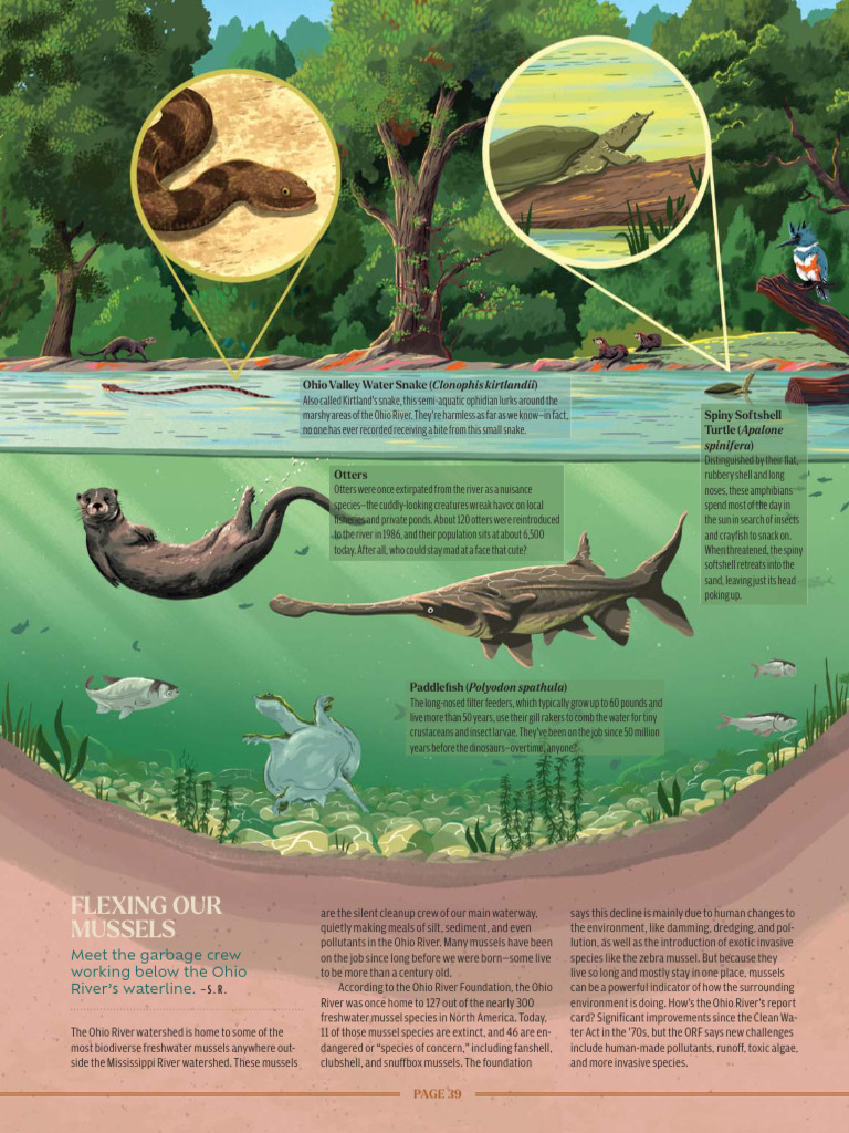 Down To Earth - June2023 (Cincinnati Magazine) | PDF | Mussel | Earth ...