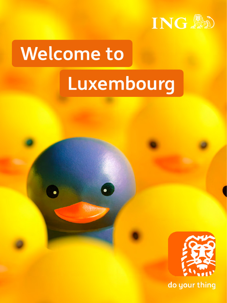 Ing Luxembourg Expat Guide en | PDF | Identity Document