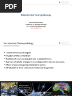 The SOCRATES Acronym in History Taking | PDF | Pain | Thorax