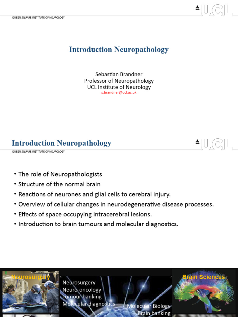 Neuropathology Overview at Queen Square | PDF | Diseases And Disorders ...