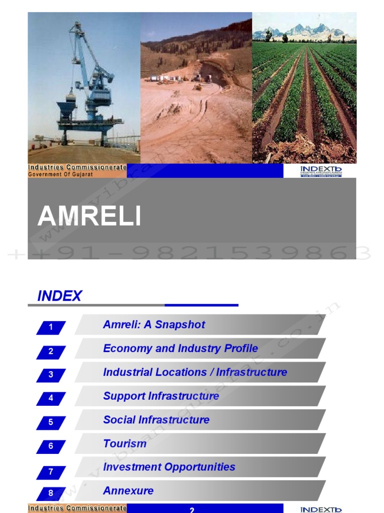 Amreli District Profile | PDF | Gujarat | Industries