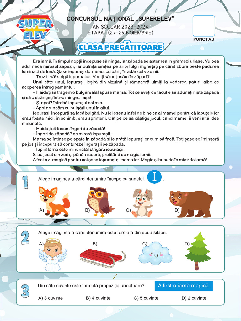 SUPER-ELEV 2023-2024, Etapa I, Clasa P | PDF