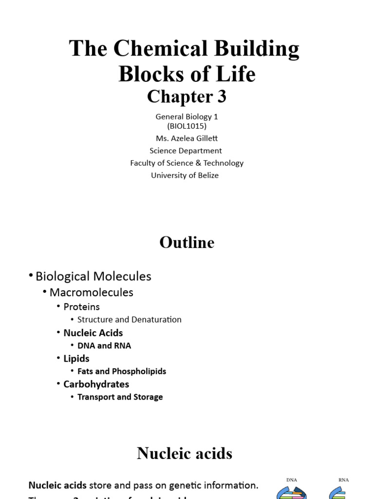 The Chemical Building Blocks of Life (Chapter 3) Nucleic Acids, Lipids ...