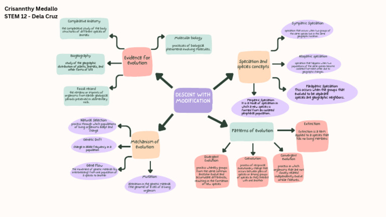 Purple Colorful Organic Mind Map Brainstorm - 20240312 - 051812 - 0000 ...