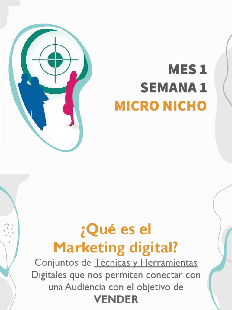 Mes+1+-+Semana+1+(Micro-Nicho) | PDF | Marketing | Publicidad