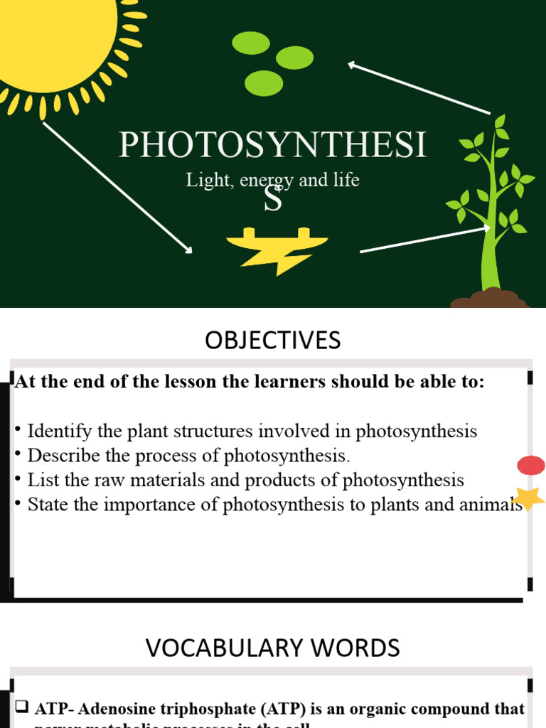 PHOTOSYNTHESIS AND CELLULAR RESPIRATION | PDF | Photosynthesis | Leaf