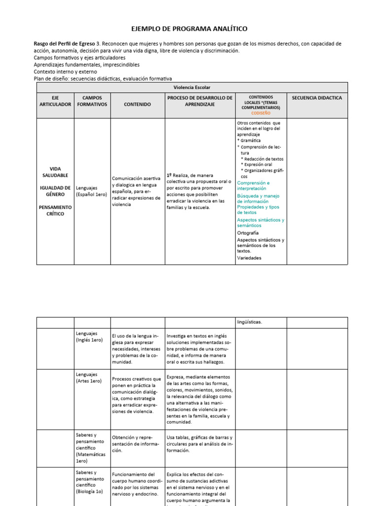 Ejemplo de Programa Analítico | PDF | Lenguaje de programación | Comunicación