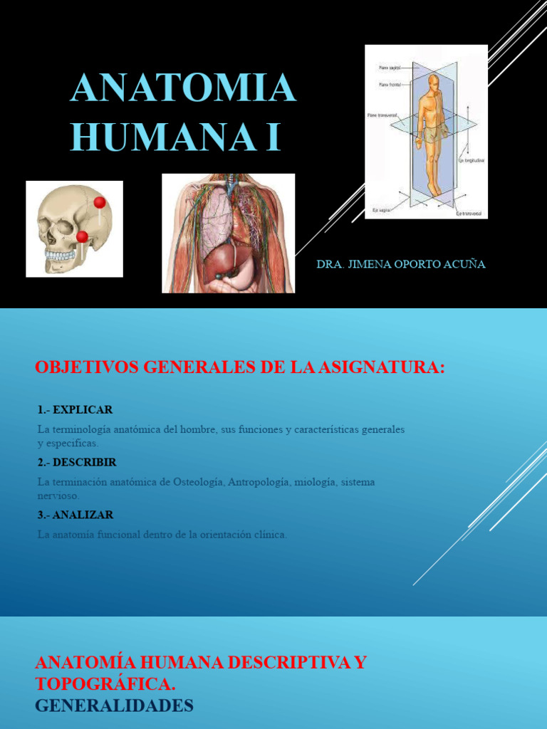 Tema1generalidades Anato I | PDF | Anatomía | Sistema urinario