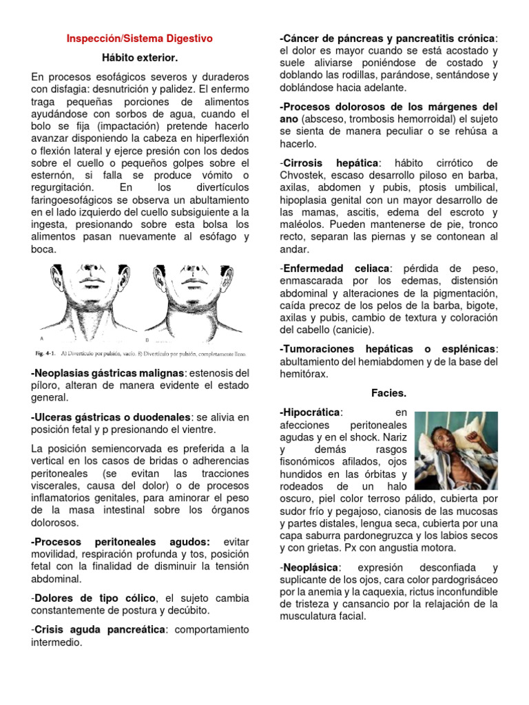 Inspección Semio III | PDF | Abdomen | Estómago