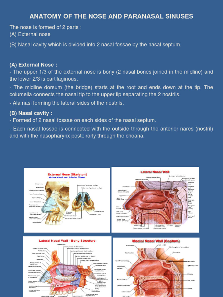 8-THE NOSE | PDF | Human Nose | Human Anatomy