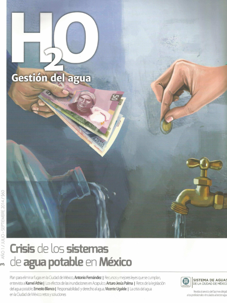 Crisis de Los Sistemas de Agua Potable e | PDF