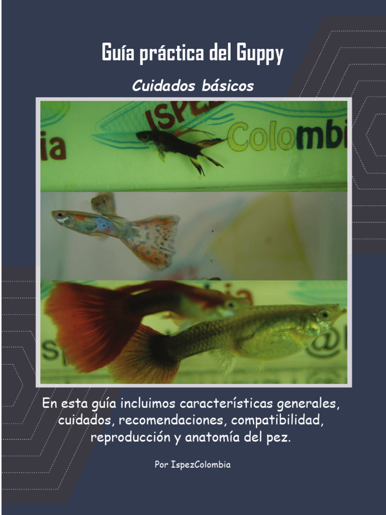 Guía Completa de Cuidados del Guppy | PDF | Acuario | Zoología