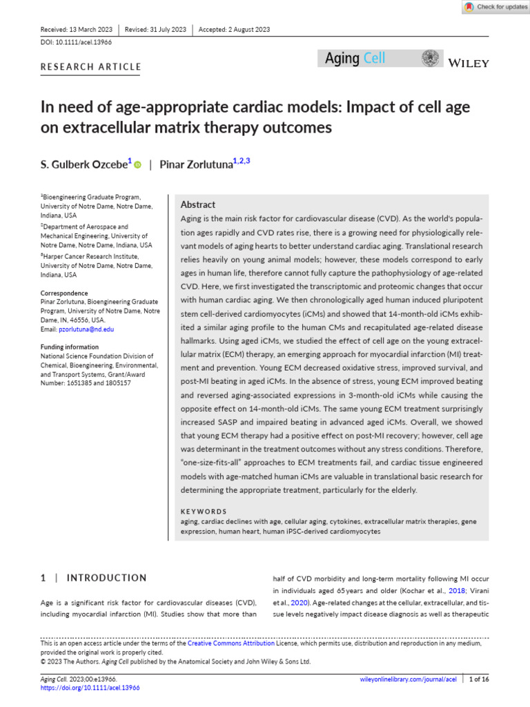 Aging Cell - 2023 - Ozcebe - in Need of Age Appropriate Cardiac Models ...