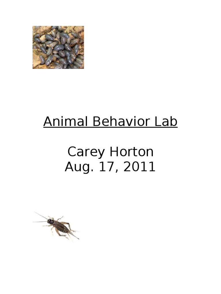 AP Bio Lab 11 Report | PDF | Experiment | Behavioural Sciences