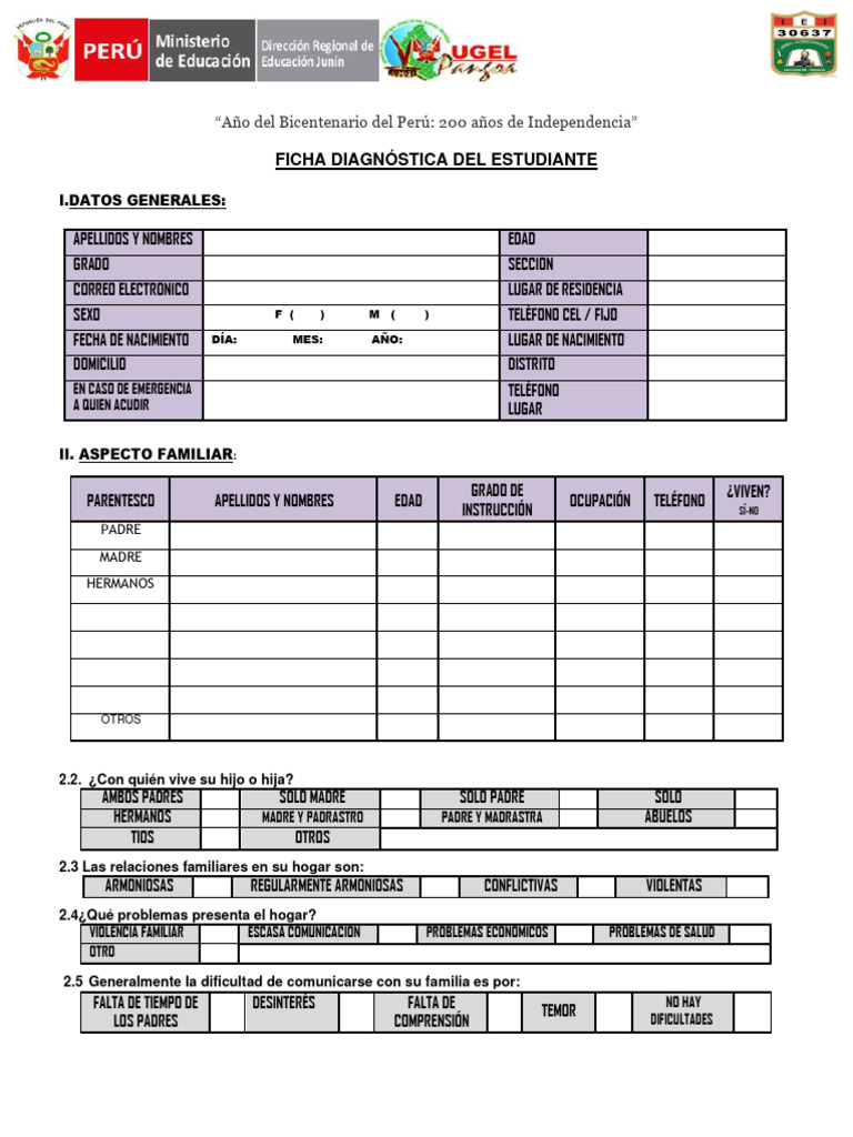 Ficha de Diagnostico-Primaria | PDF | Informática | Industrias de servicio
