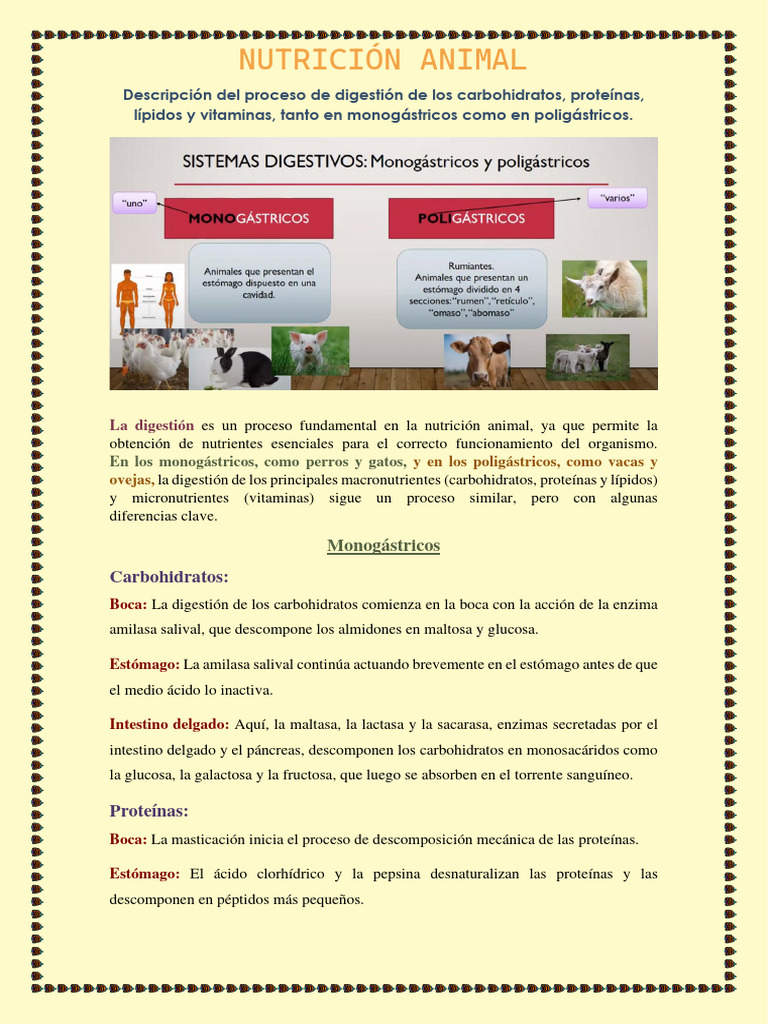 Actividad Primer Parcial | PDF