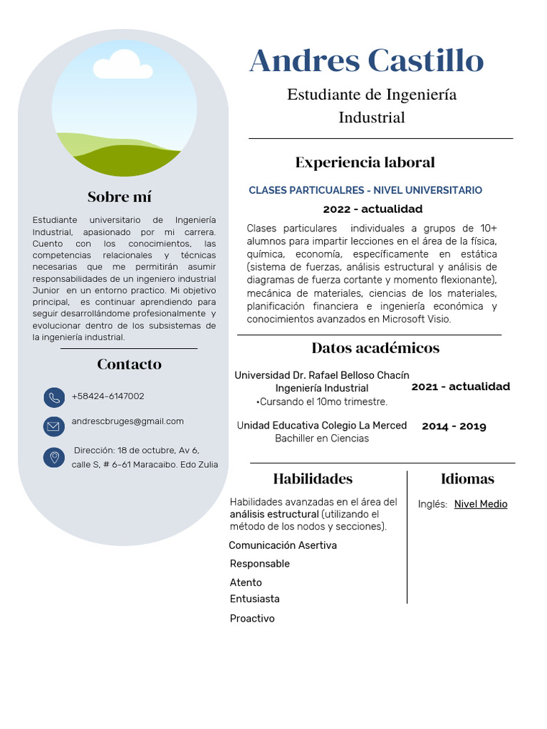 Curriculum Andres Castillo 20240218 202006 0000 | PDF | Ingeniería ...