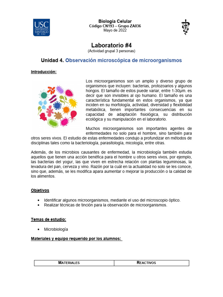 Práctica 4. Observación de Microorganismos | PDF | Microorganismo | Microbiología