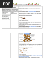 Mi Proyecto: Las Hormigas | PDF | Hormiga | Himenópteros