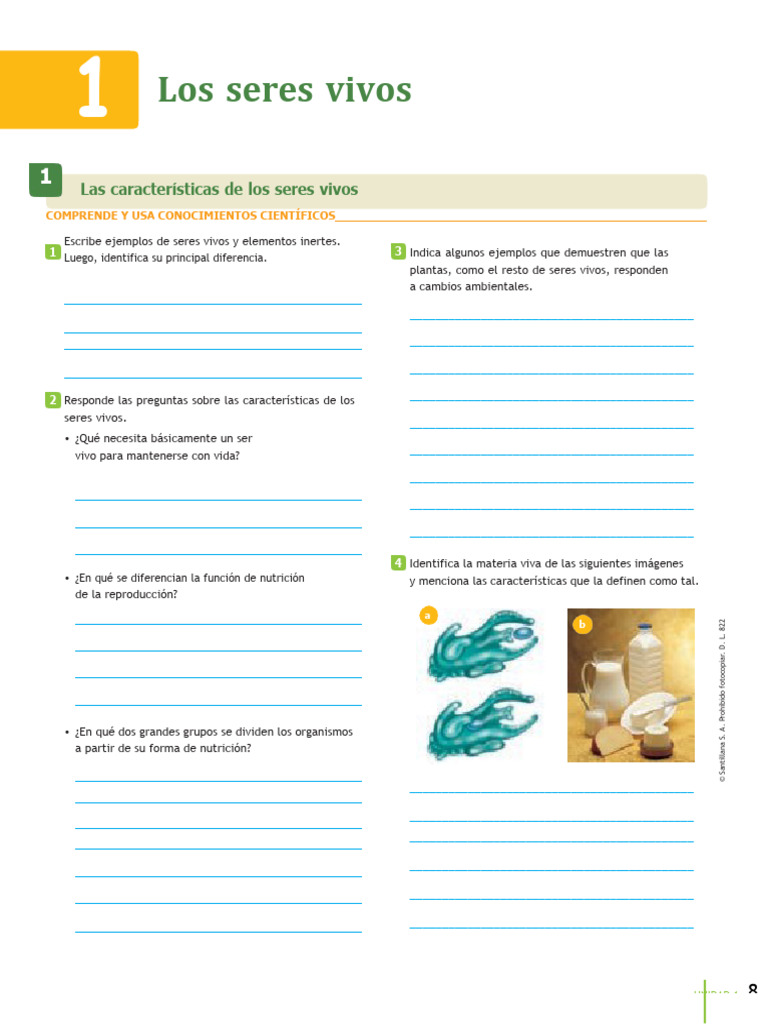 Características y organización de seres vivos | PDF | Biología Celular ...