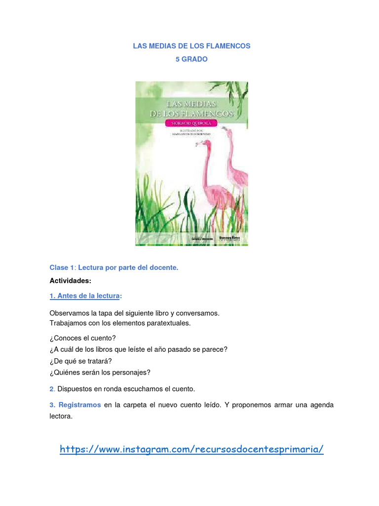 Las Medias de Los Flamencos 5 Grado | PDF | Verbo | Lingüística