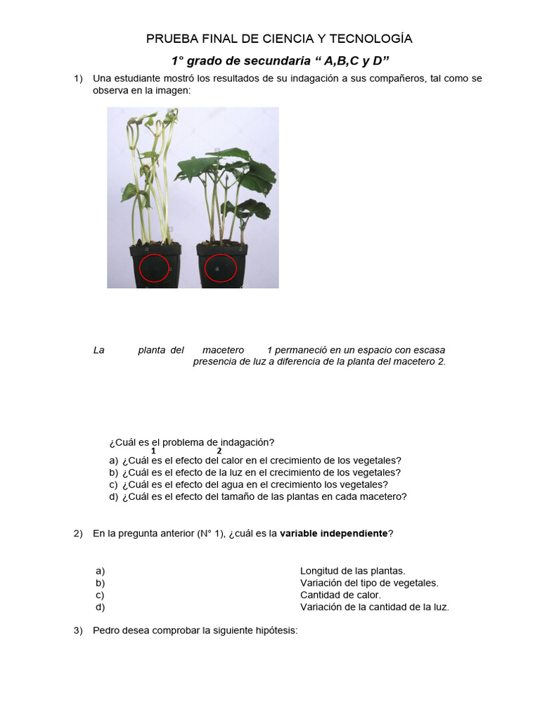 Prueba Final de Ciencia y Tecnología 1° Secundaria | PDF | Plantas | Calor
