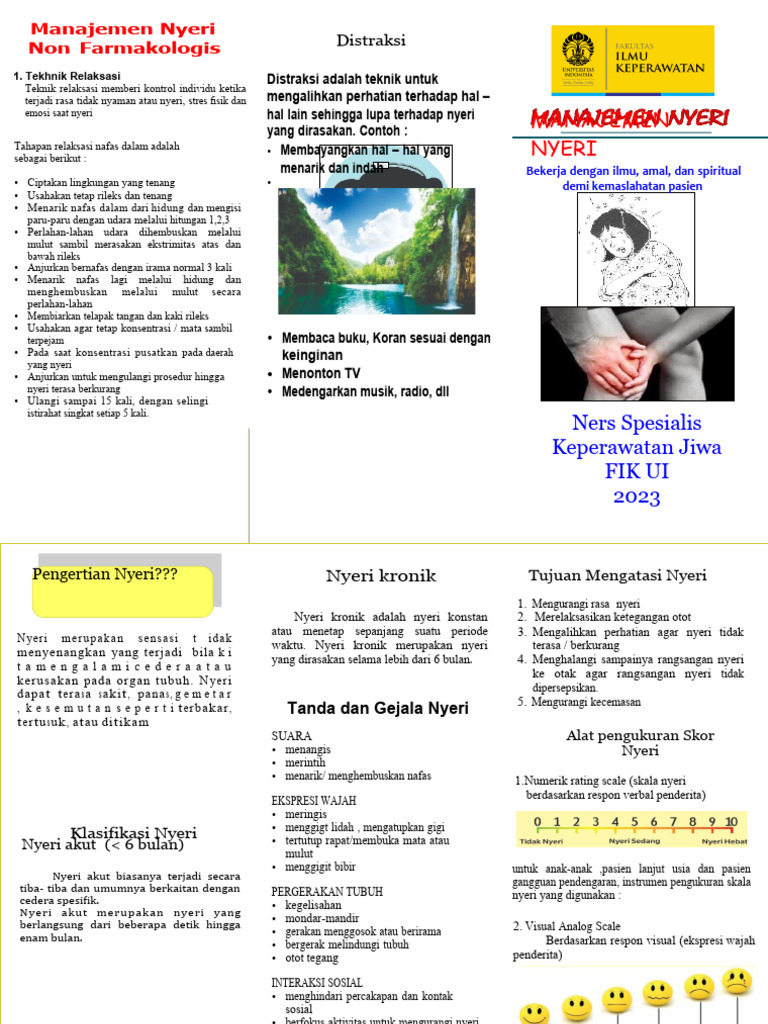 Leaflet Nyeri | PDF