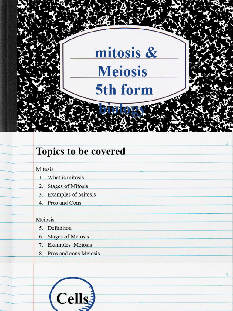Mitosis and Meiosis (More Notes) Ppt. | PDF | Meiosis | Mitosis