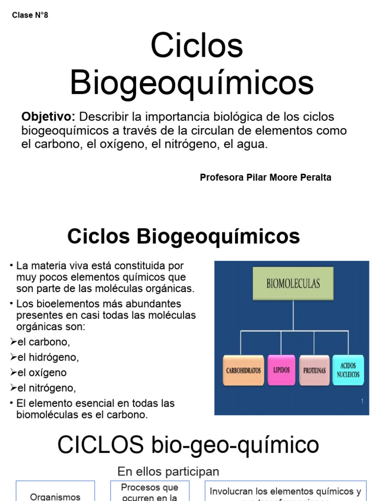 2594 1QOXkOu7 PPT Clase n8 Ciclos Biogeoquimicos - Ciencias 1-2 Medio | PDF | Agua | El ciclo ...
